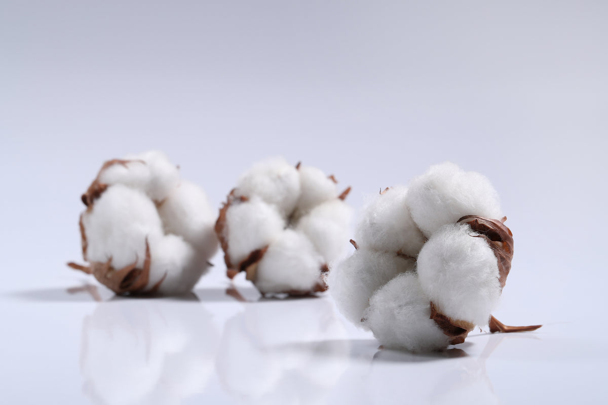 What Is Organic Cotton And Why It's The Better Option– Ecoduka